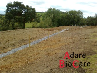 Zero Discharge Willow Beds - Adare Biocare Ltd